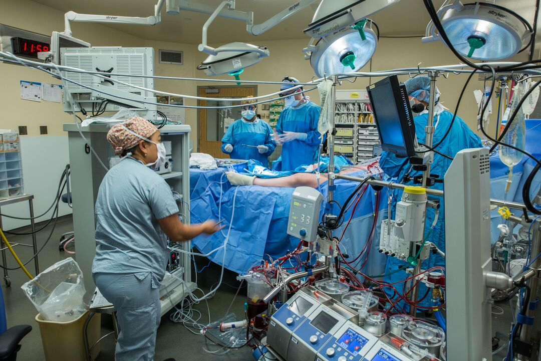 Up Close: Open heart surgery - Hamilton Health Sciences